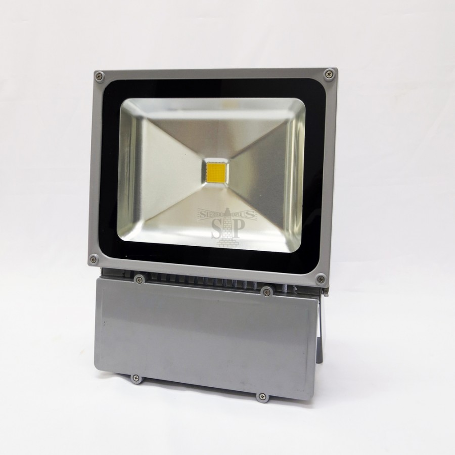 BTG 100W COB LED Flood Light (Grey)