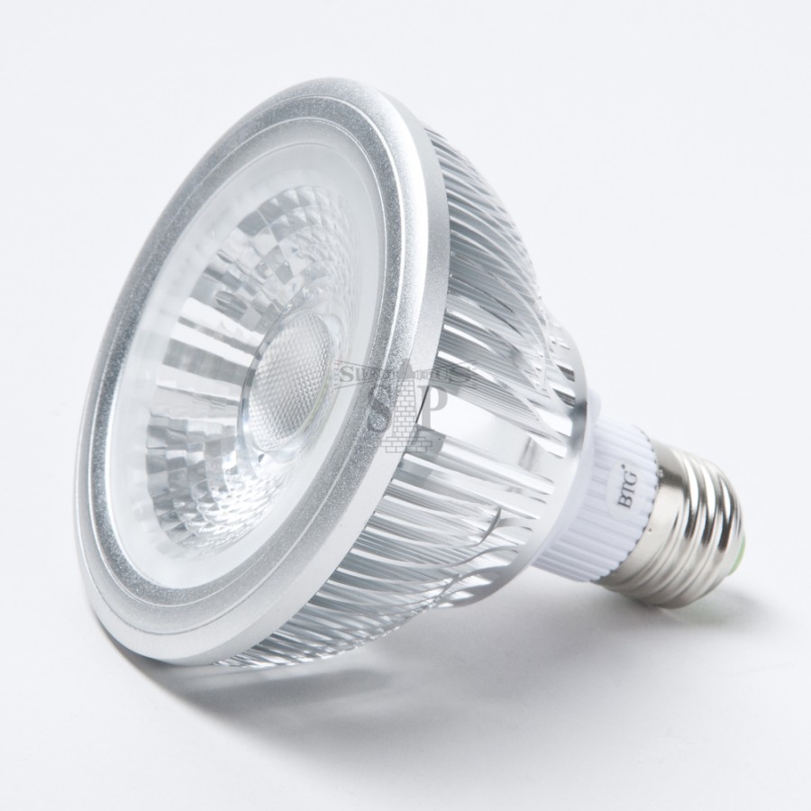 BTG E27 PAR 30 8W COB LED Bulb