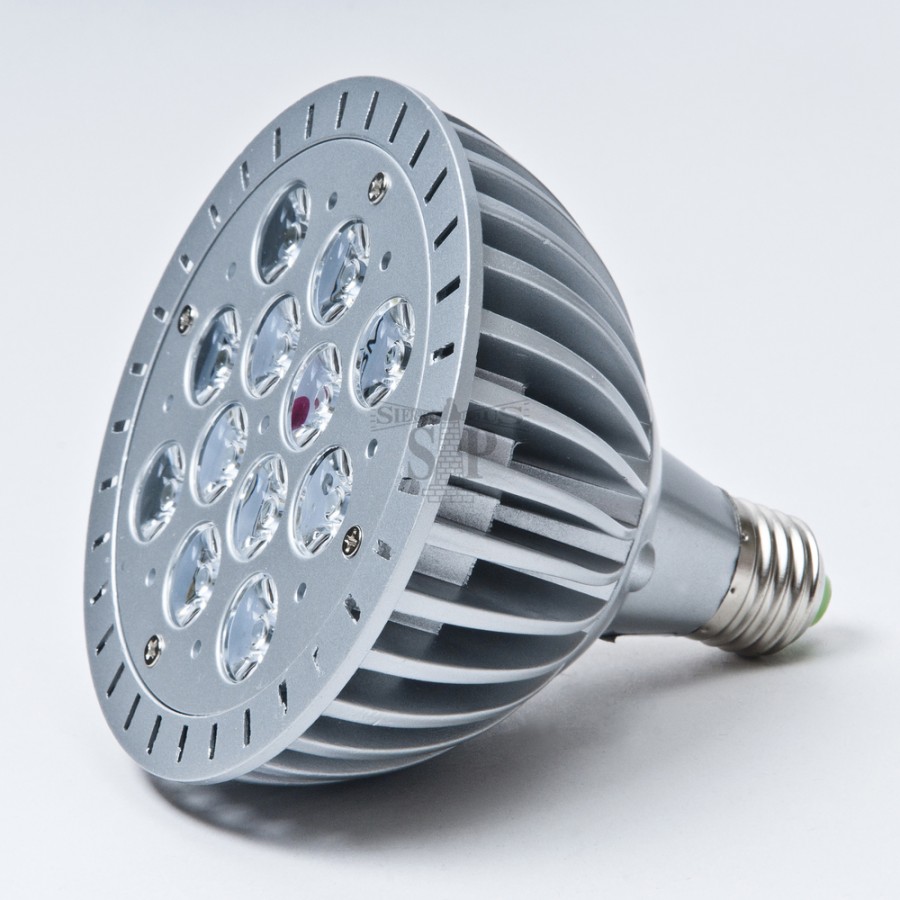 BTG E27 PAR 38 12x1W SMD LED Bulb