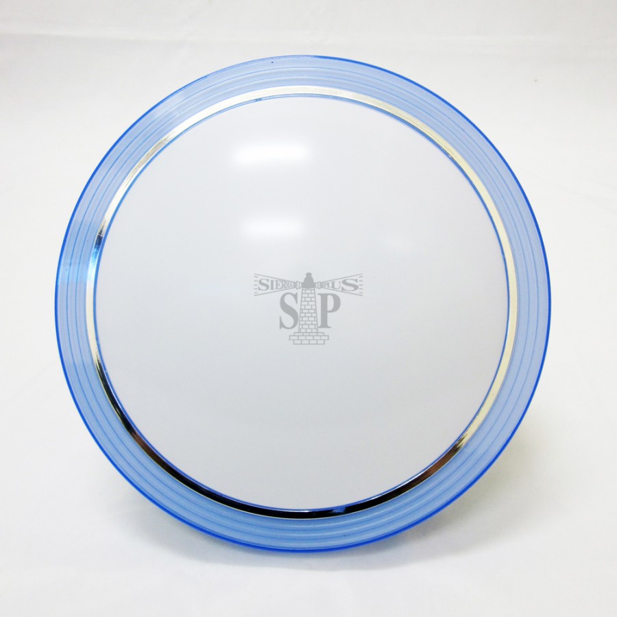 10.5-inch 64 12W Flush Mount LED Ceiling Light Round (Blue)