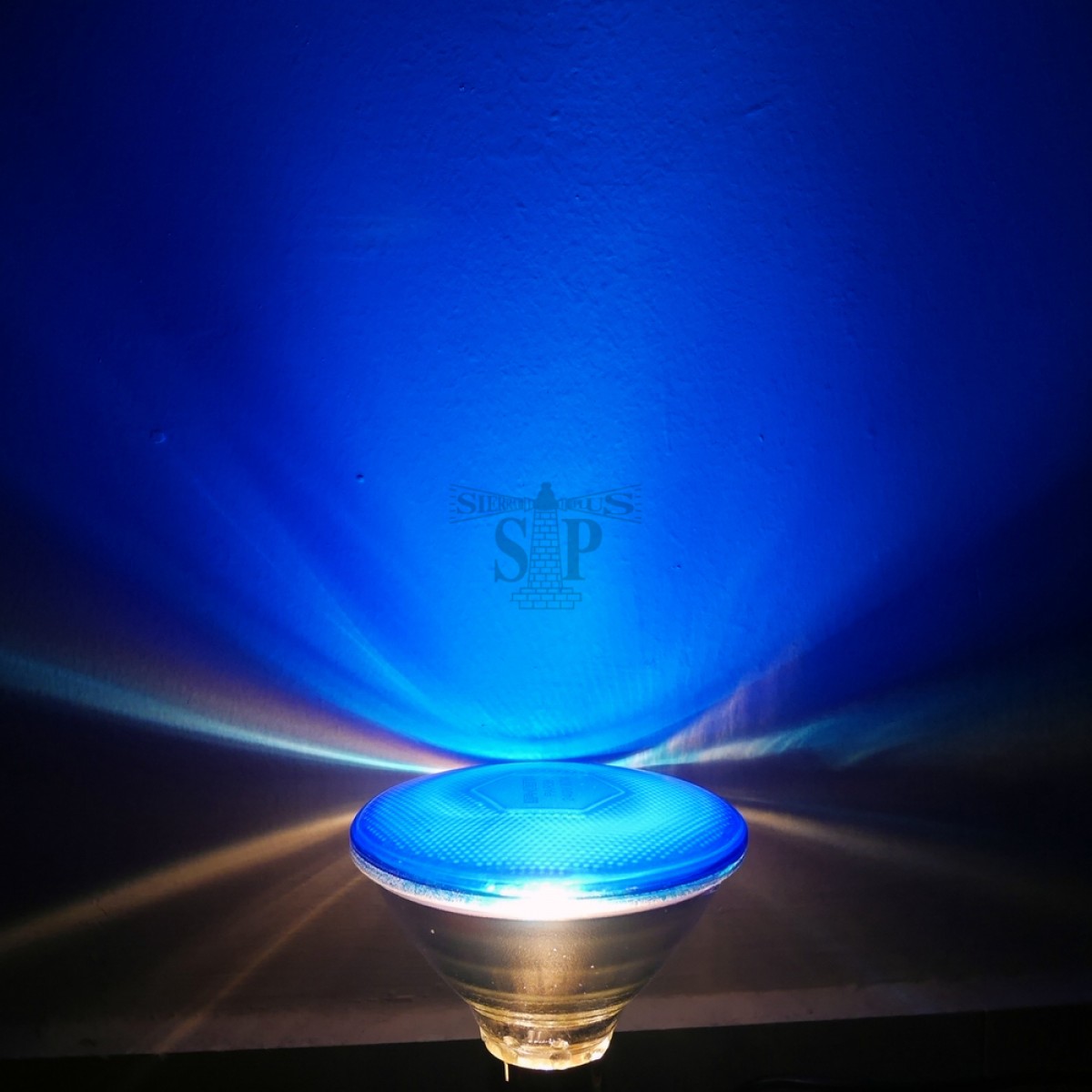 Phoenix PAR 38 80W Colour Incandescent Filament Flood Light Bulb (Blue)