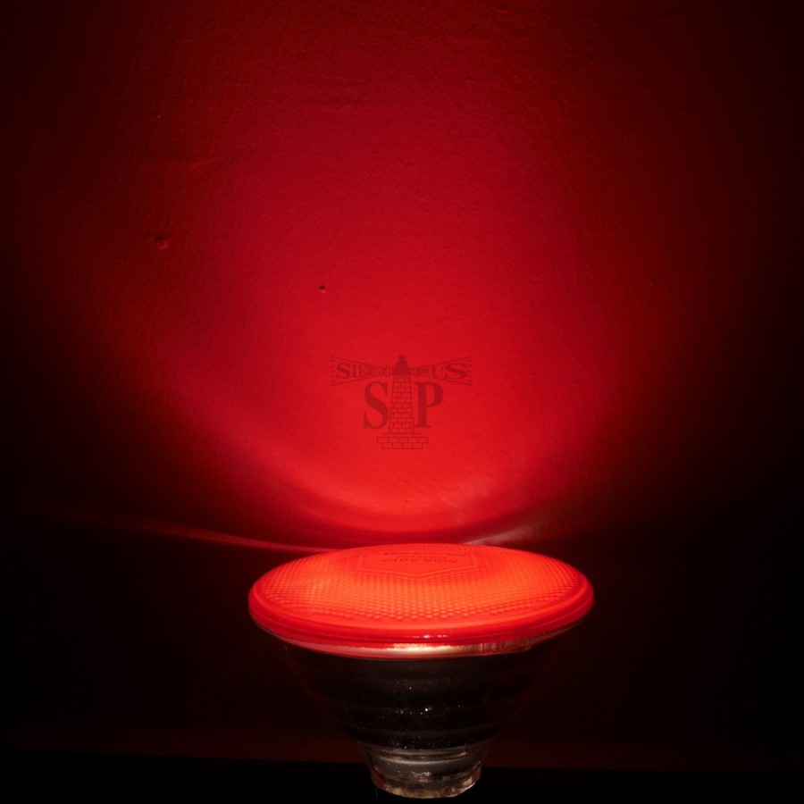 Phoenix PAR 38 80W Colour Incandescent Filament Flood Light Bulb (Red)
