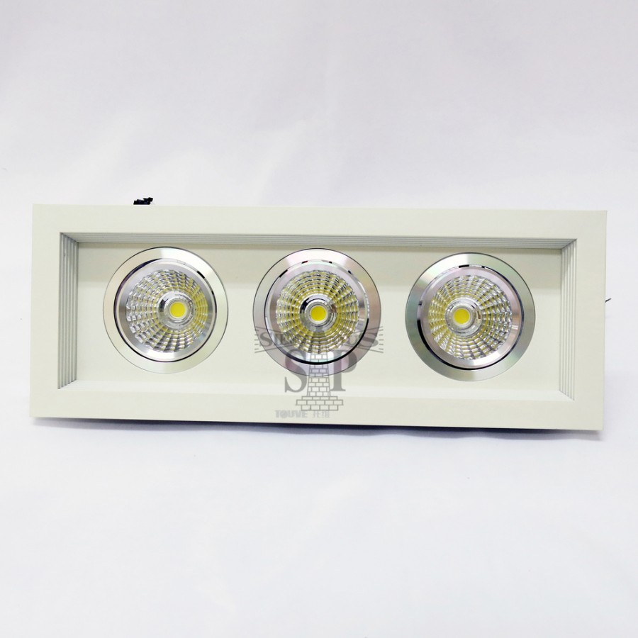D026 3 X 10W Directional COB LED Down Light (White)