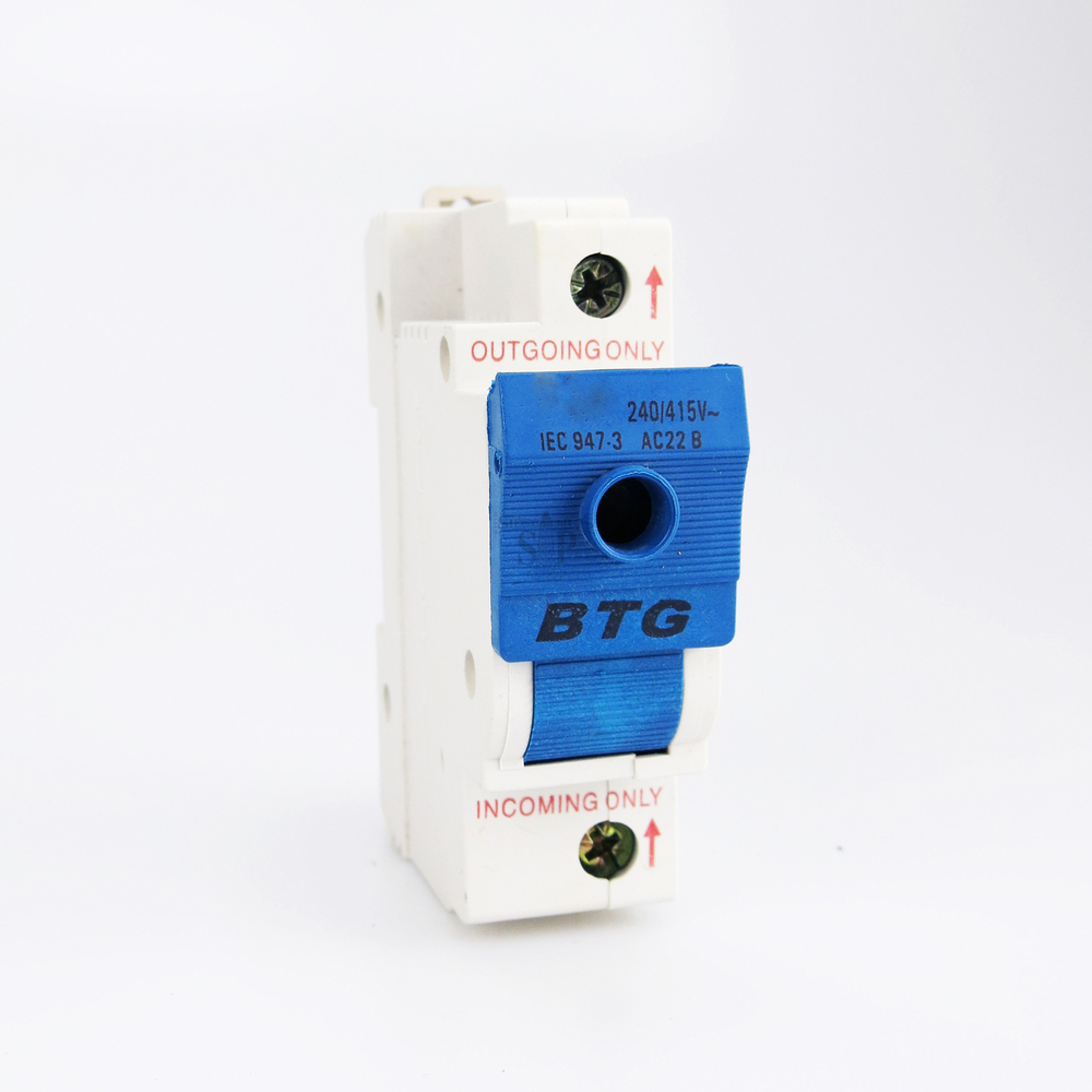 BTG 63A 1 Pole Switch Fuses (White)