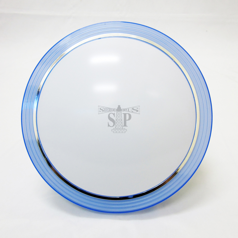 10.5-inch 64 12W Flush Mount LED Ceiling Light Round (Blue)